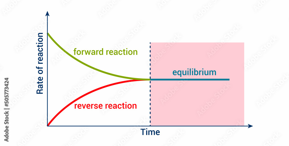 chemical equilibrium graph diagram vector illustration isolated on ...