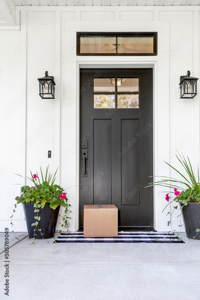 A blank cardboard box package delivered to the front door of a modern ...