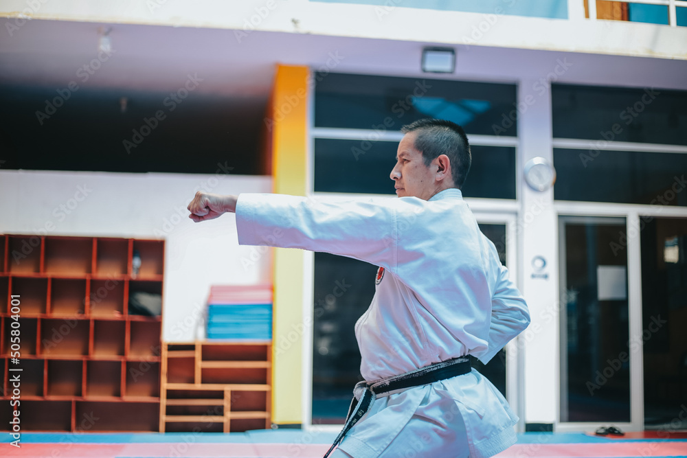 Karateka realizando el tradicional kata. Concepto de deportes y artes ...