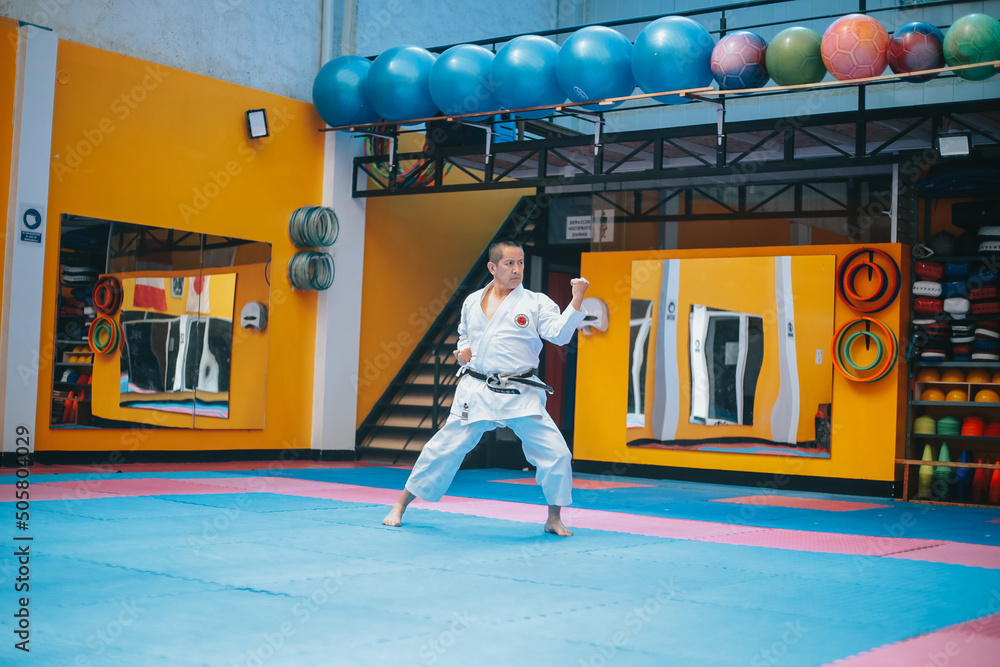 Karateka realizando el tradicional kata. Concepto de deportes y artes ...