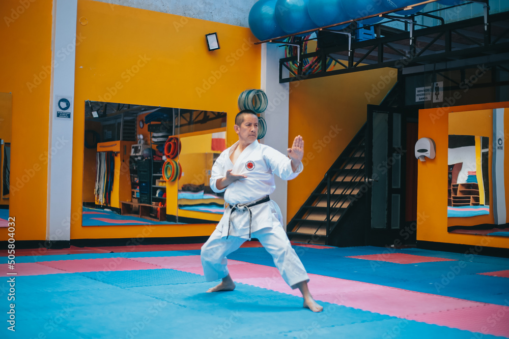 Karateka realizando el tradicional kata. Concepto de deportes y artes ...