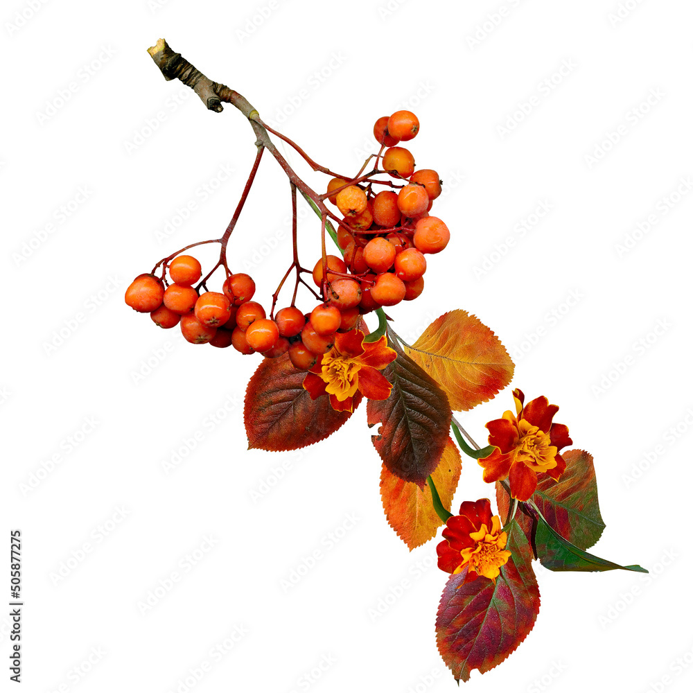 Autumn Set Photo Overlays Falling Leaves, fog, rain, sun, light ...