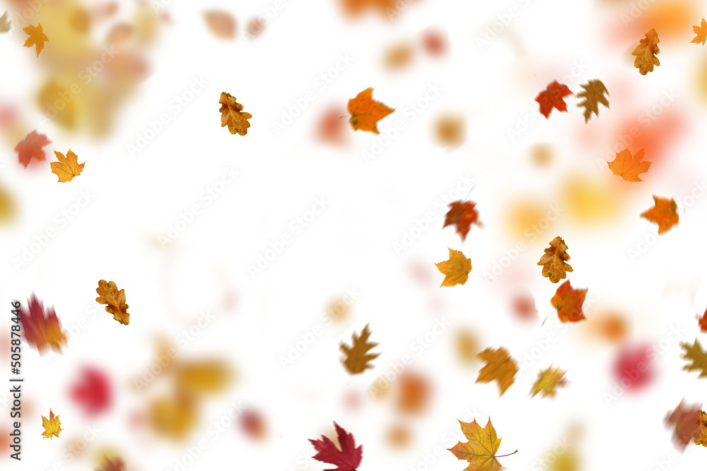 Autumn Set Photo Overlays Falling Leaves, fog, rain, sun, light ... Autumn Set Photo Overlays Falling Leaves, fog, rain, sun, light ...