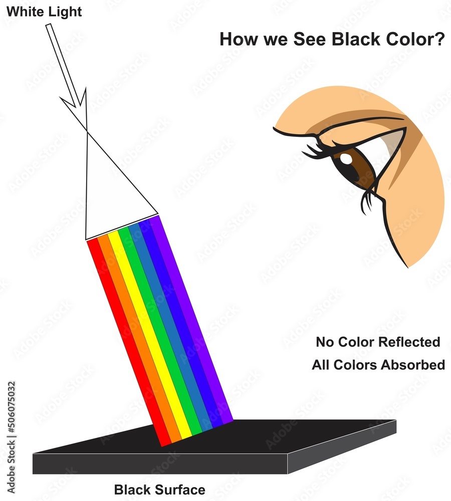 How human eye see black surface infographic diagram physics mechanics ...