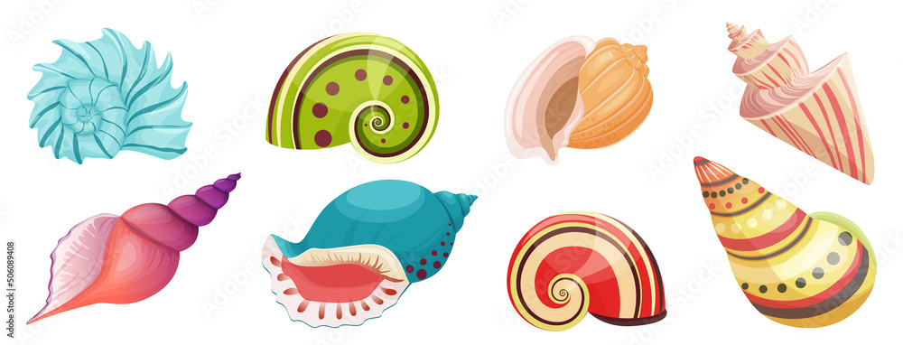 Seashells from tropical beach or underwater set vector illustration ...