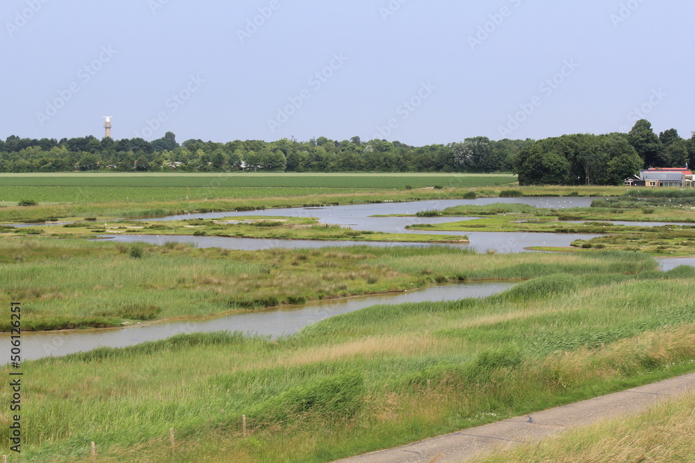 a nature reserve with grass and water inside the dikes along the ...