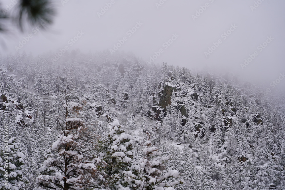 Photos and photoset took on Mt. Herman, Colorado on May 21, 2022. This ...