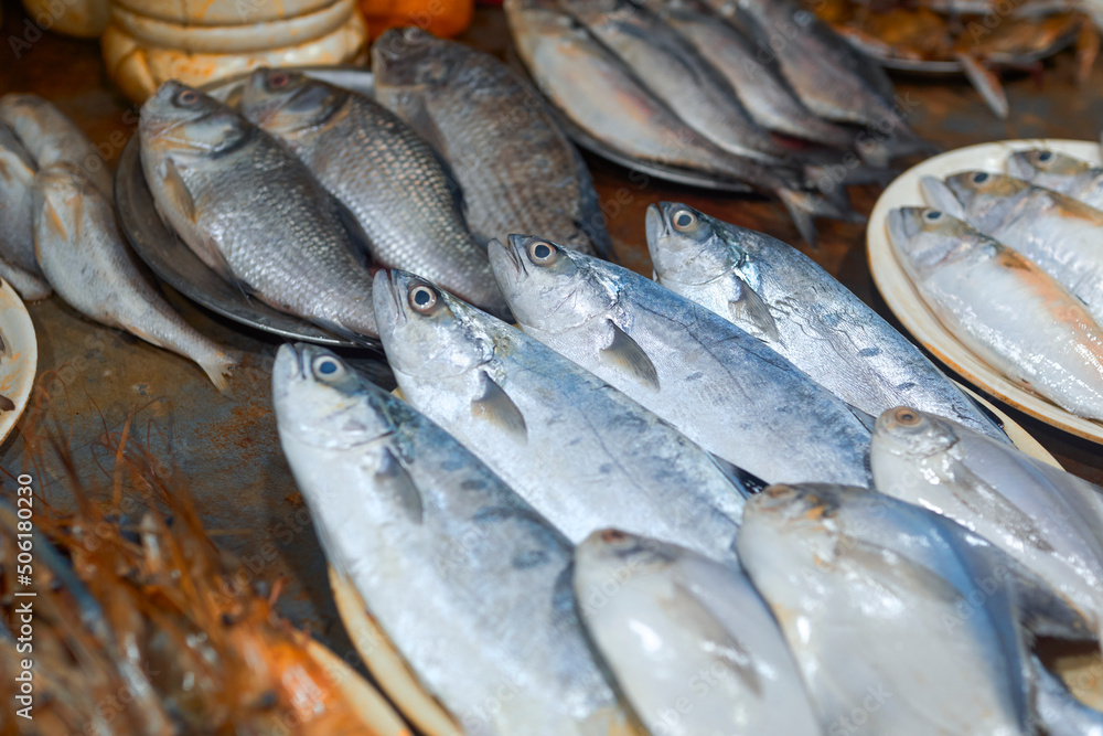 display of variety of freshly caught sea fishes, namely sardiens, rohu ...