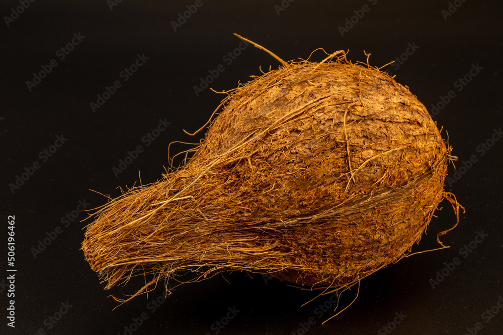 Dried coconut with extreme details of its body texture and hair ...