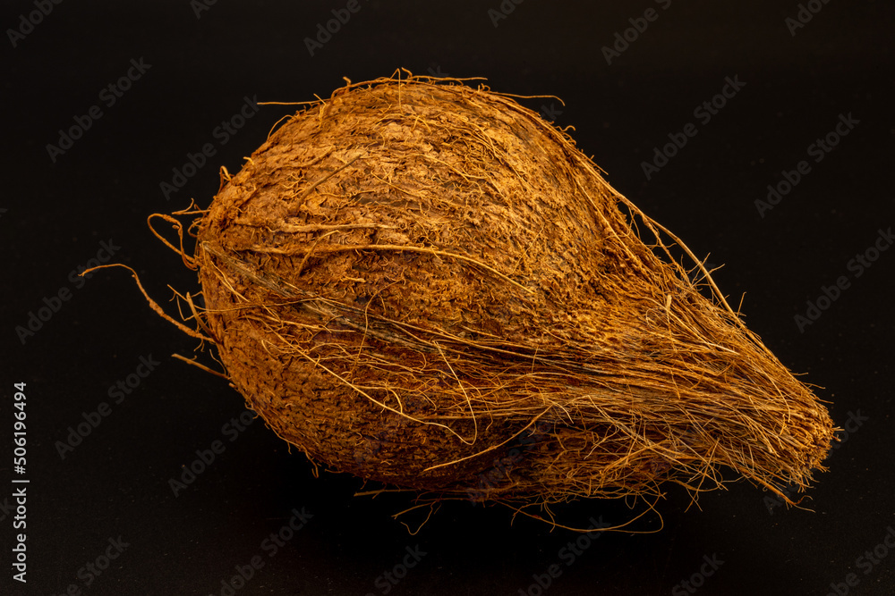 Dried coconut with extreme details of its body texture and hair ...