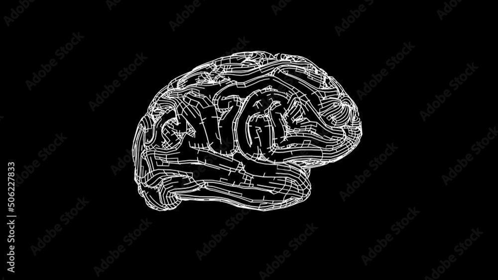Sketchy style Human brain white on black background Looped Animation ...