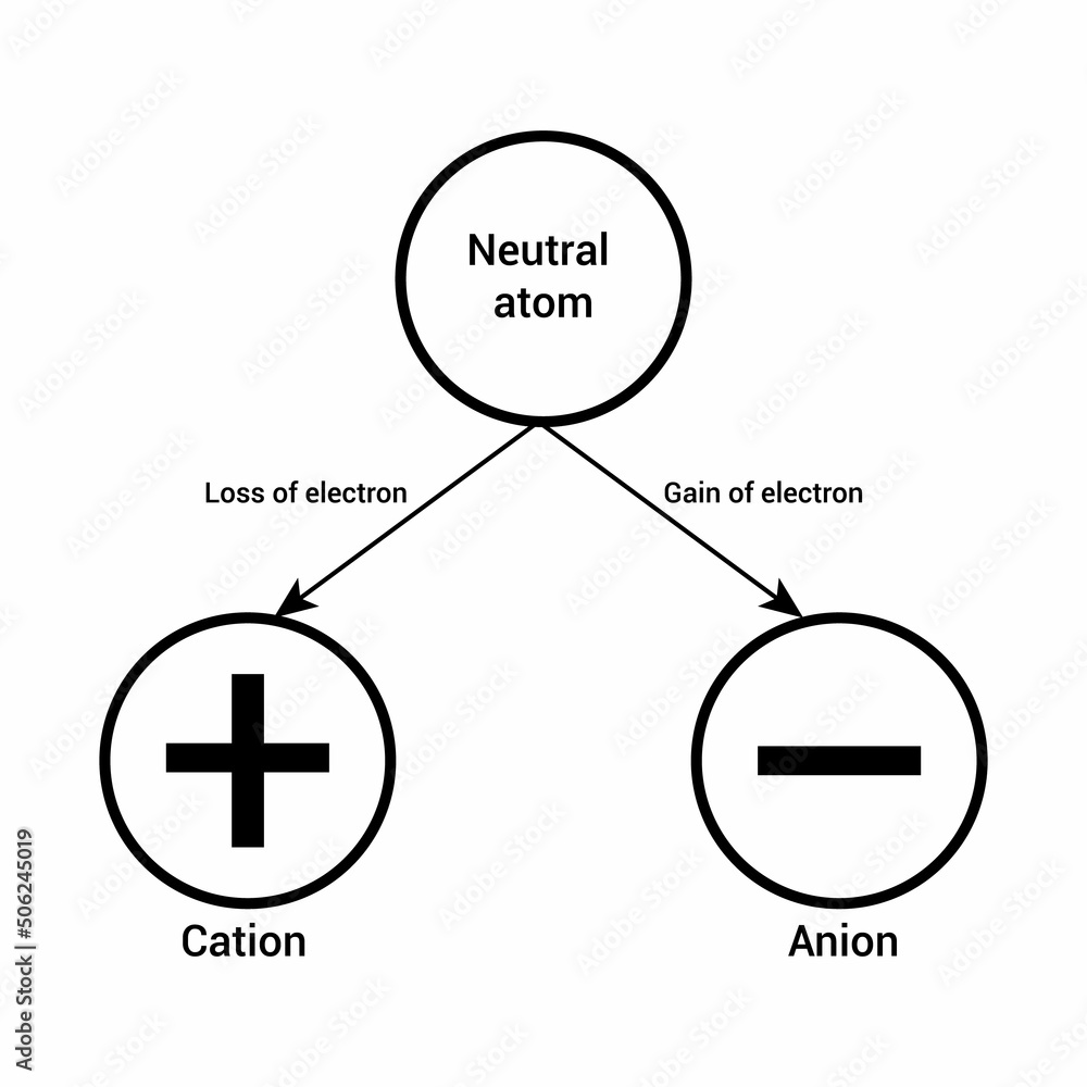 Anion Atom Cations And Anions | Ions | ChemTalk