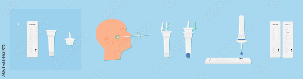 Rapid Antigen Test kit for Covid19 with swab testing infographic as ...