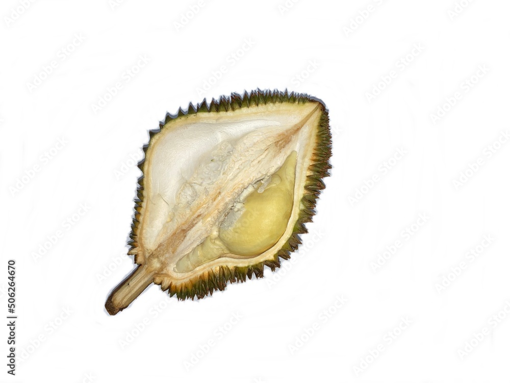 Durian is a fruit that is rich in dietary fiber. high in beta-carotene ...