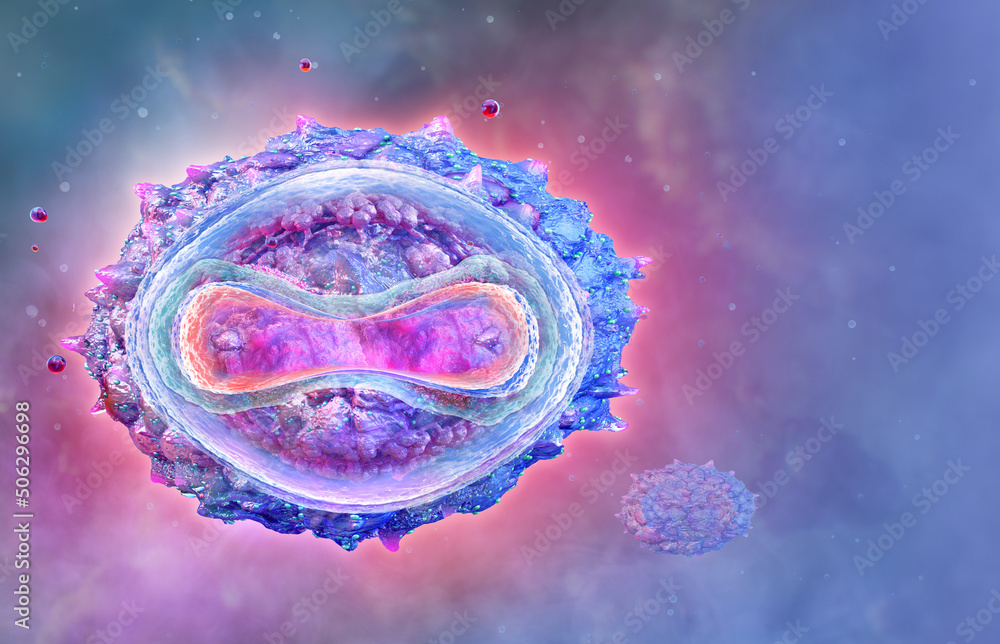 Monkeypox virus cell 3D structure. Monkeypox is a zoonotic, animal to ...