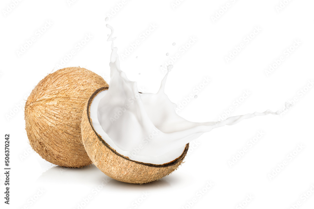 Coconut milk splash isolated on white background. Copy space. Stock ...