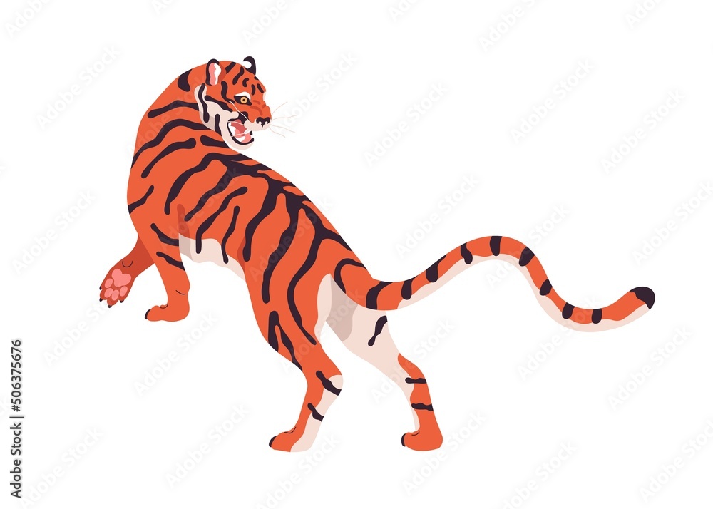 Angry tiger roaring, going. Wild cat, striped jungle animal growling ...