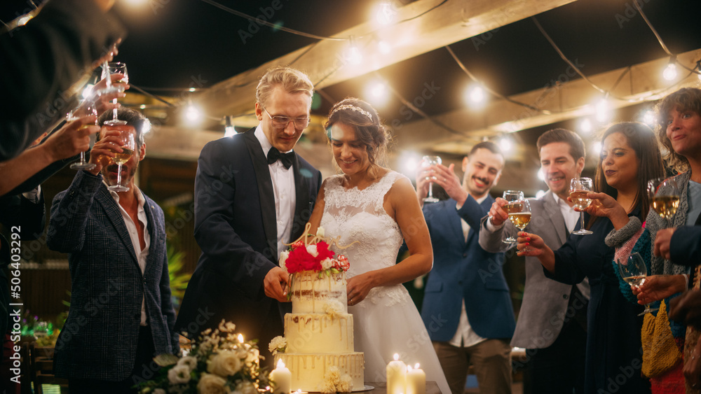 Beautiful Bride and Groom Celebrate Wedding at an Evening Reception ...