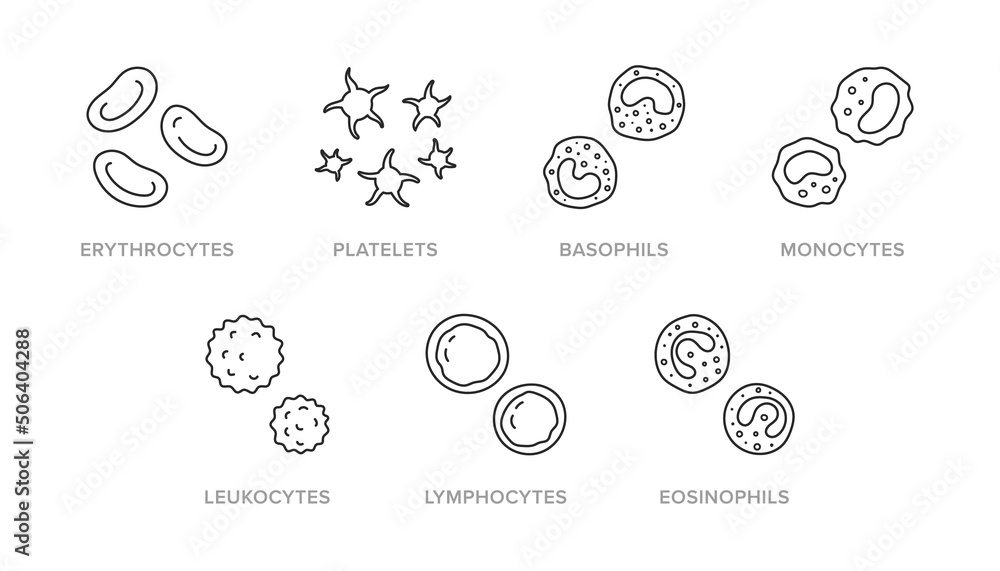 Blood cells doodle illustration including icons - erythrocyte, platelet ...