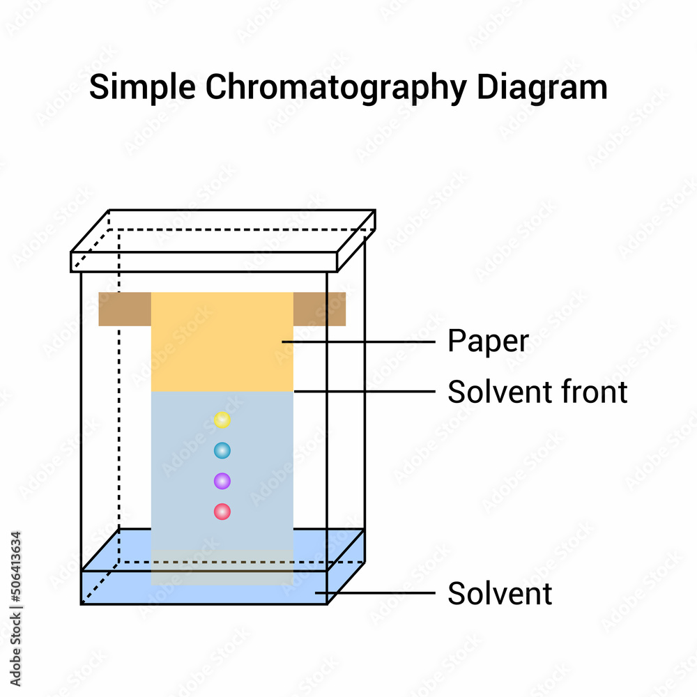 paper chromatography diagram vector illustration isolated on white ...