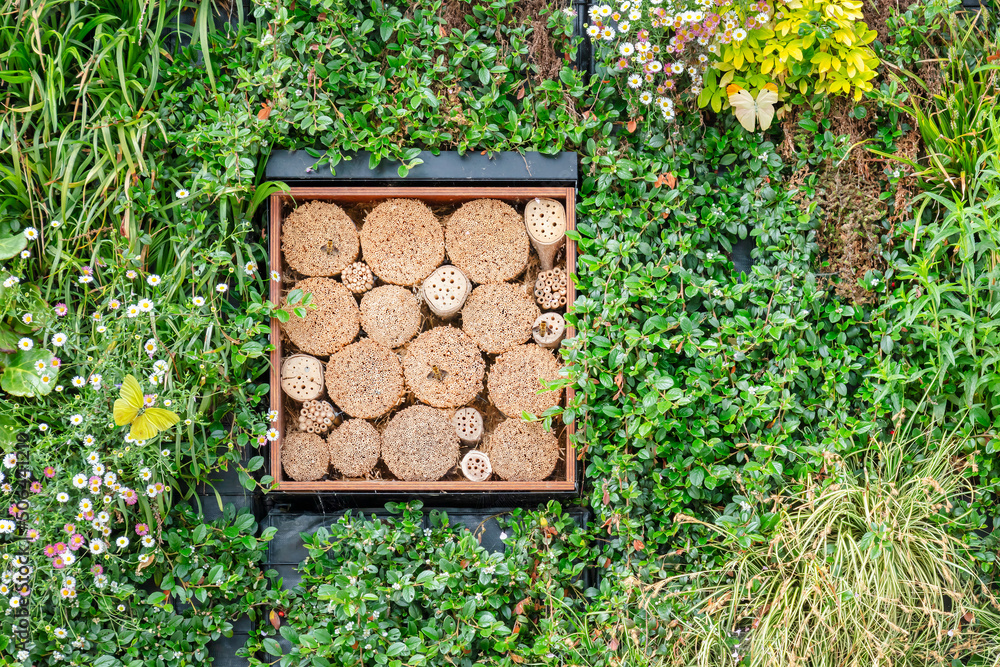 Insect hotel with butterflies and bees on a vertical eco green wall of ...