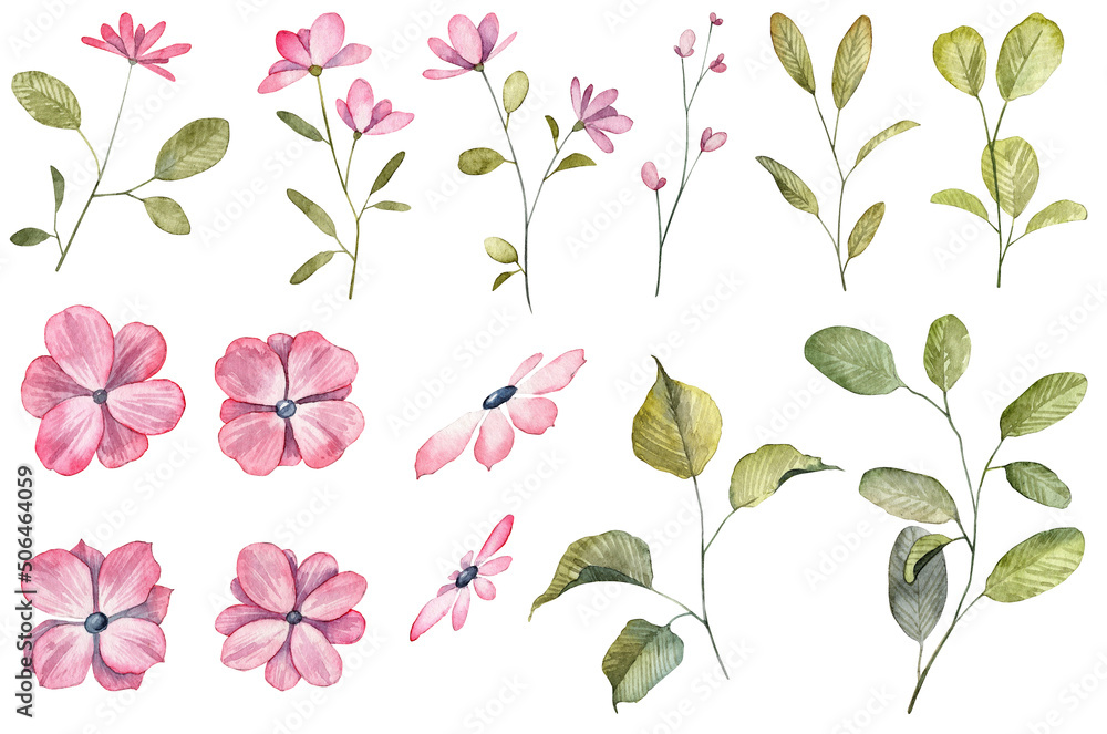 Collection of cute pink flowers and green leaves. Watercolor hand ...