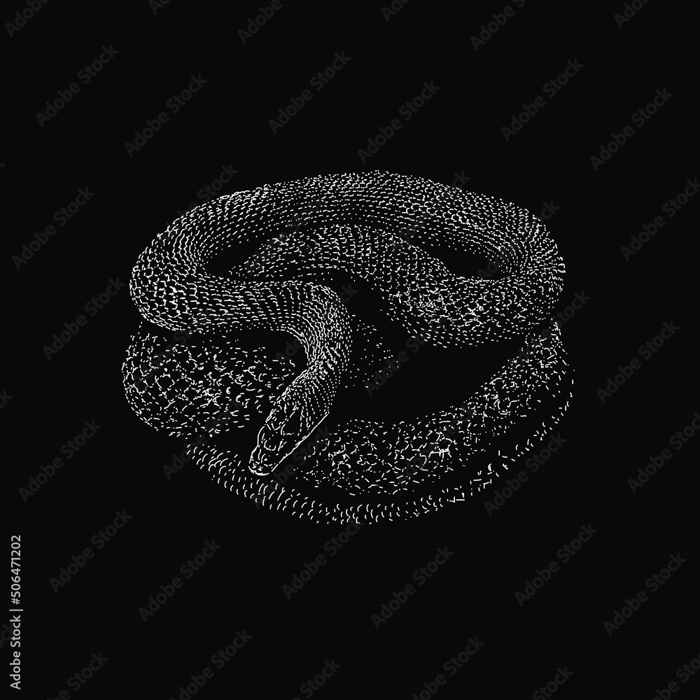 Baird’s Rat Snake hand drawing vector illustration isolated on black ...