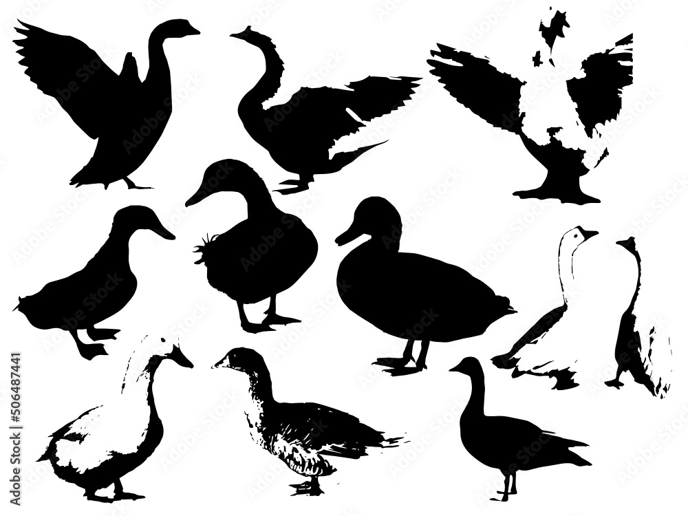 Free Vector duck, free vector graphics and clipart matching duck Stock ...