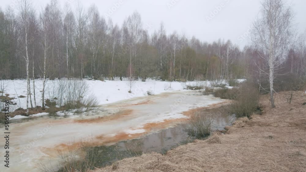 Spring young forest from thawed patches on the ground, withered dry ...