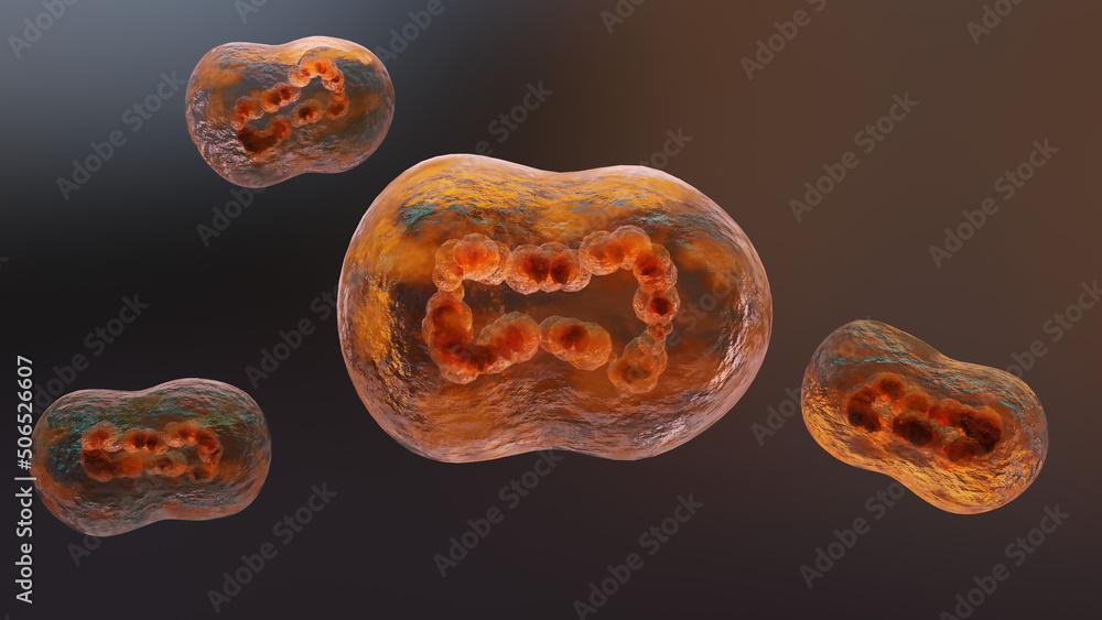 Monkeypox infection pandemic. monkeypox cell, symptoms or precautions ...