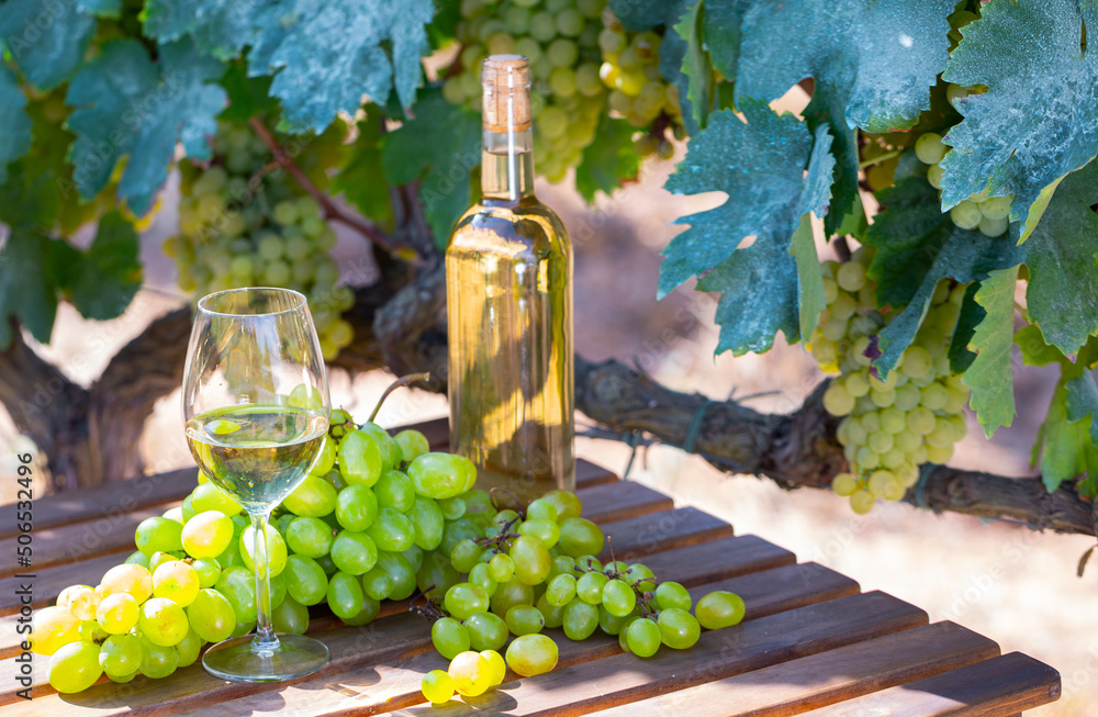 White Wine Hd