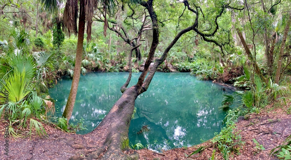 Natural freshwater spring pond at Green springs in Deltona north of ...