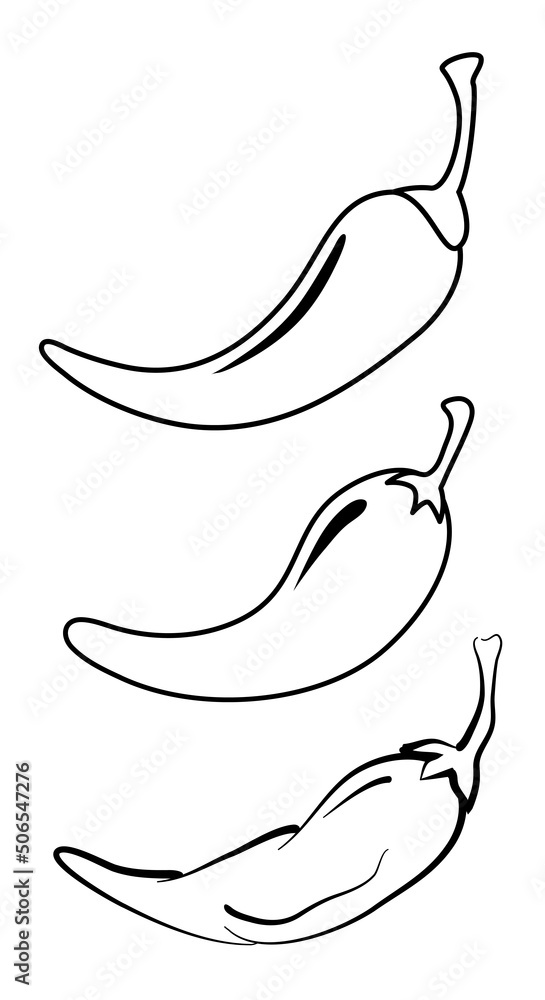 hand drawn pepper, chilli pepper vector drawing set. line drawing set ...