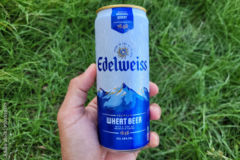 PENANG, MALAYSIA - 30 APR 2022: Adult hand holding a can of edelweiss ...