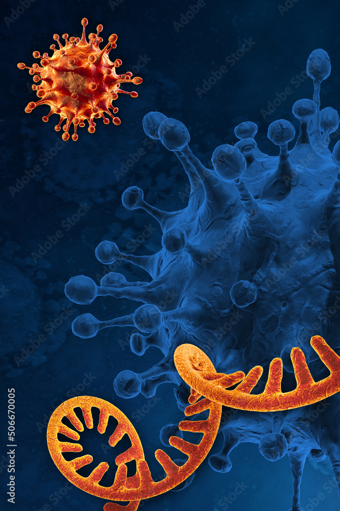Coronavirus RNA strand. Medical illustration. Microscopic view of SARS ...