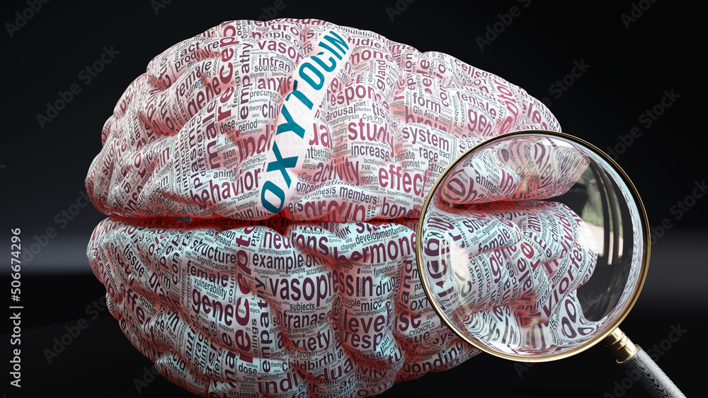Oxytocin in human brain, a concept showing hundreds of crucial words ...