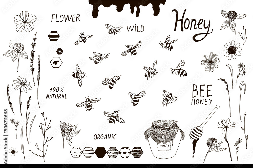 bees and flowers vector line illustrations set Stock Vector | Adobe Stock