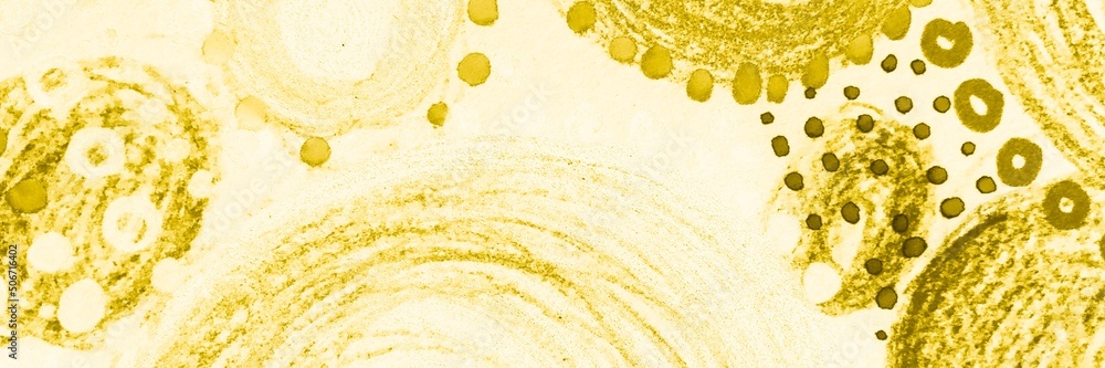 Luxury Coronavirus. Hygienic Bacteria. Brown Cough Virus. Sun Microbe ...