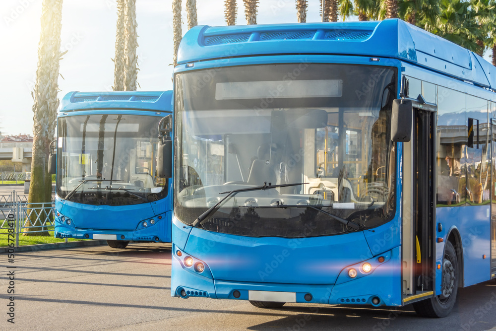 Two blue city passenger buses at the bus terminus waiting for ...