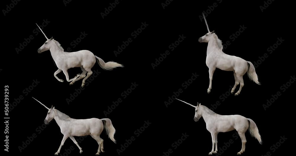 Set of unicorn realistic animation. Isolated video including alpha ...