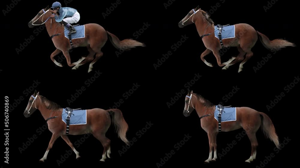 Set of red race horse. Isolated video including alpha channel allows to ...