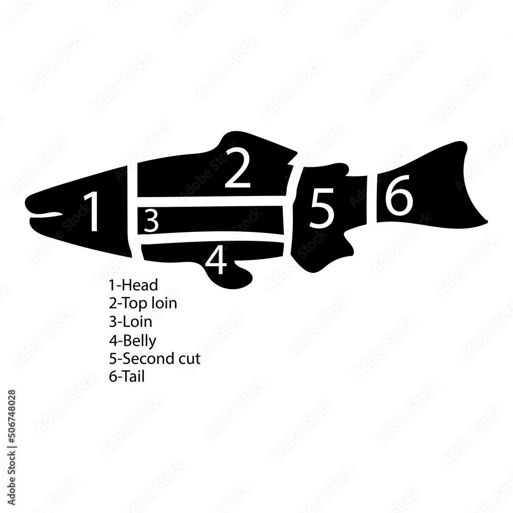 Vintage banner with black diagram slicing fish on white background ...