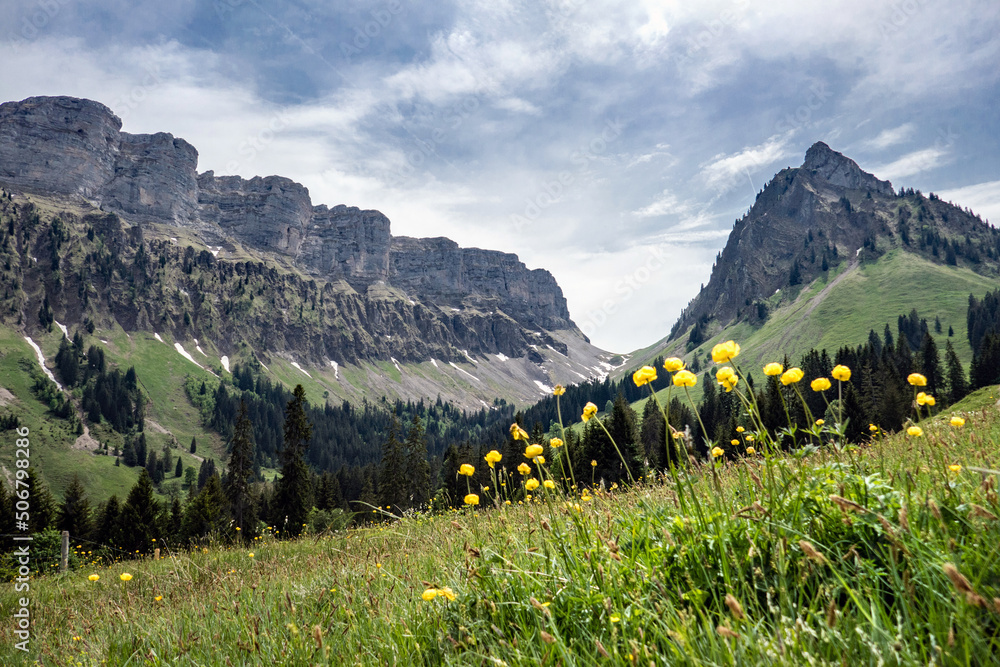 Trollblume, Eriz, Eriztal, Burst und die sieben Hengste, Innereriz ...