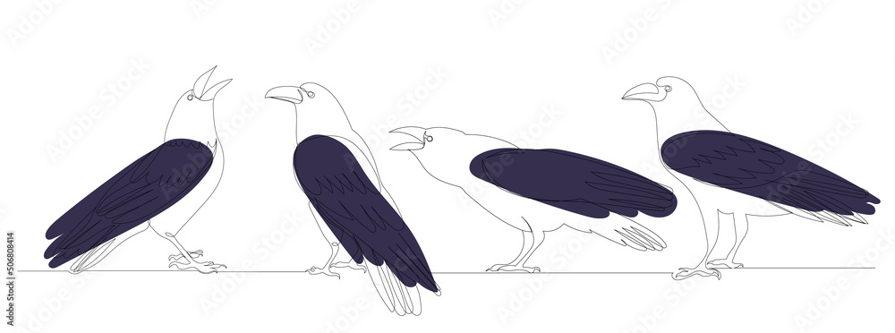crows drawing in one continuous line, isolated, vector Stock Vector ...