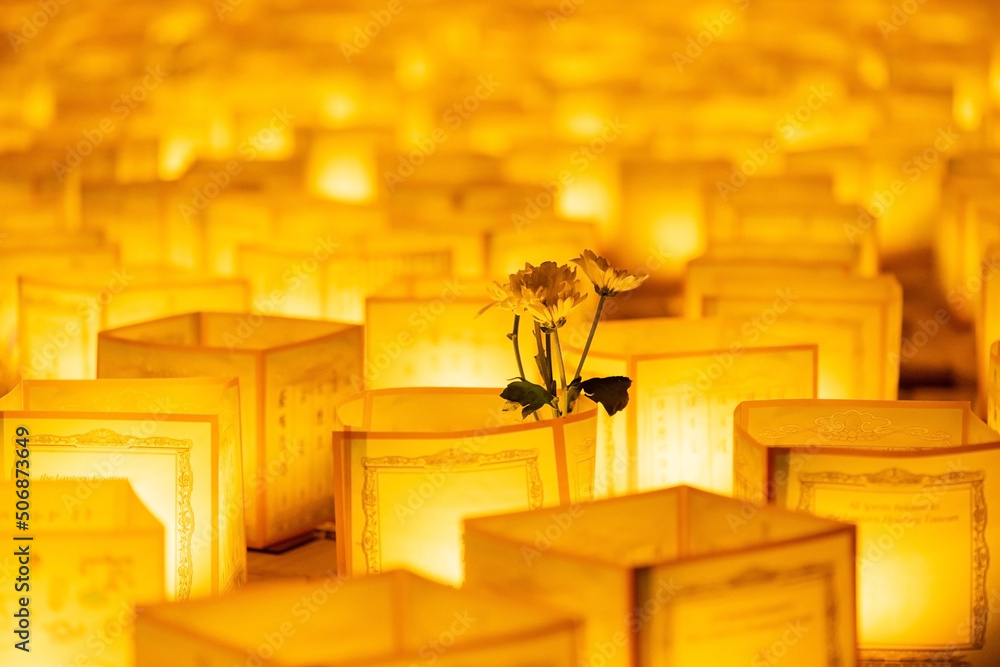 The Floating Lamp is a type of lamp that floats on the surface of the ...
