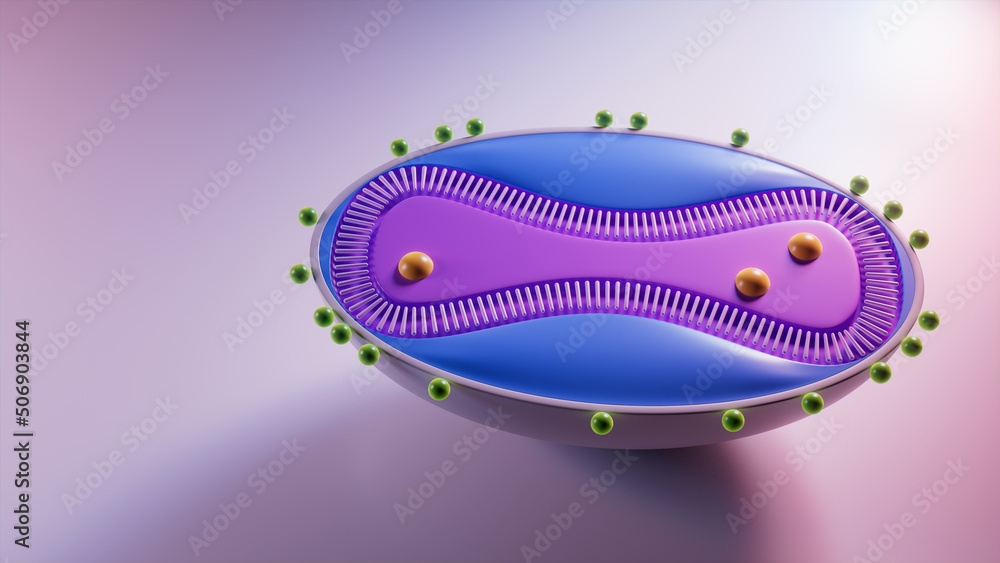 3D Illustration showing the Cell Structure of the Monkeypox Virus. 3D ...