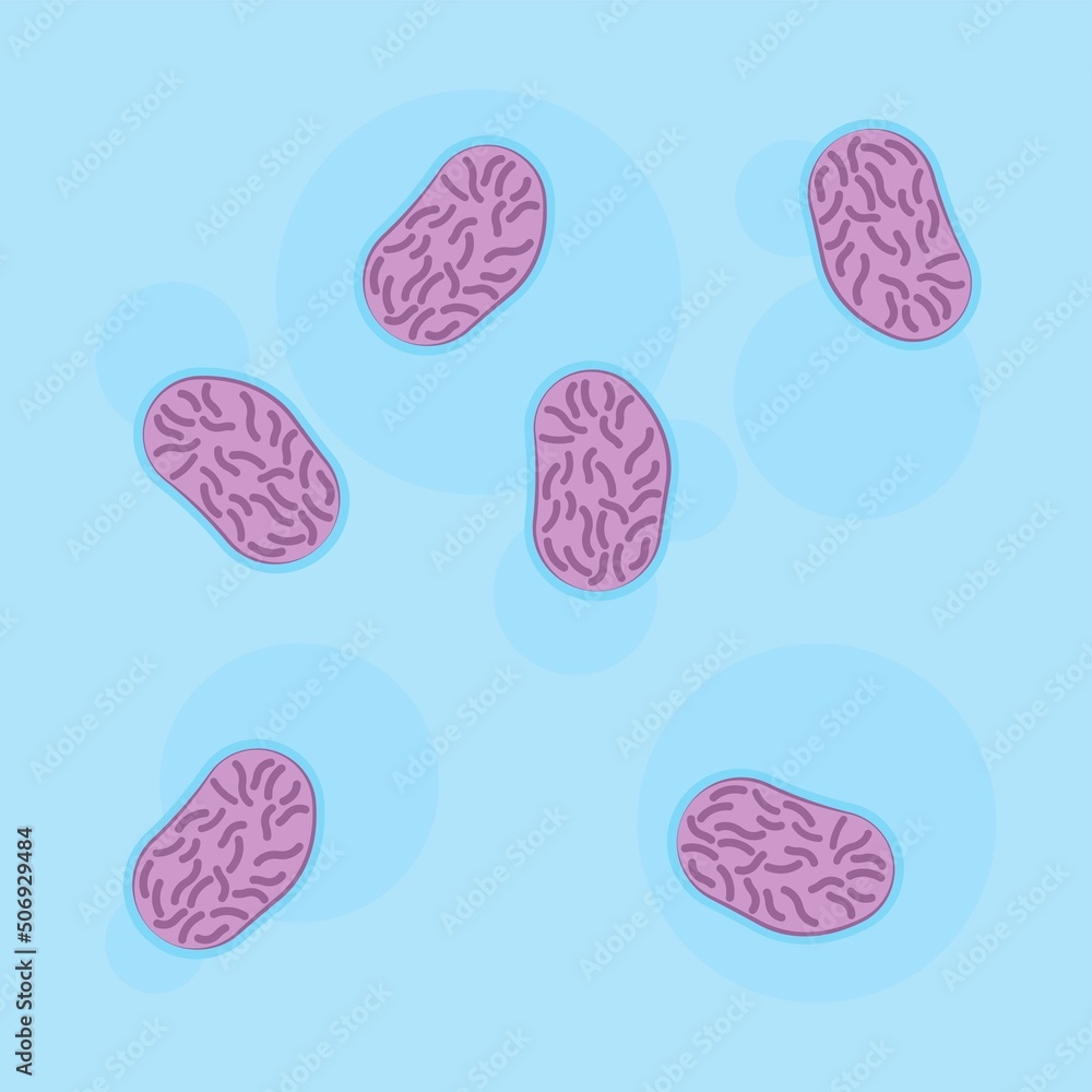 Monkeypox virus genus rash spots body skin Scabs zoonoses sick ...