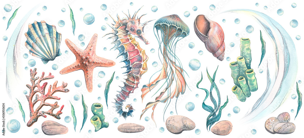 A large set of objects on a marine, tropical theme. Seahorse, jellyfish ...