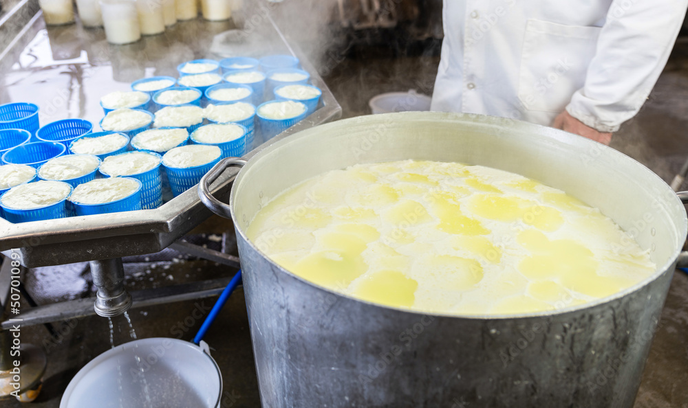 Fotka „Cheesemaker pours the curdled milk into plastic forms to shape ...