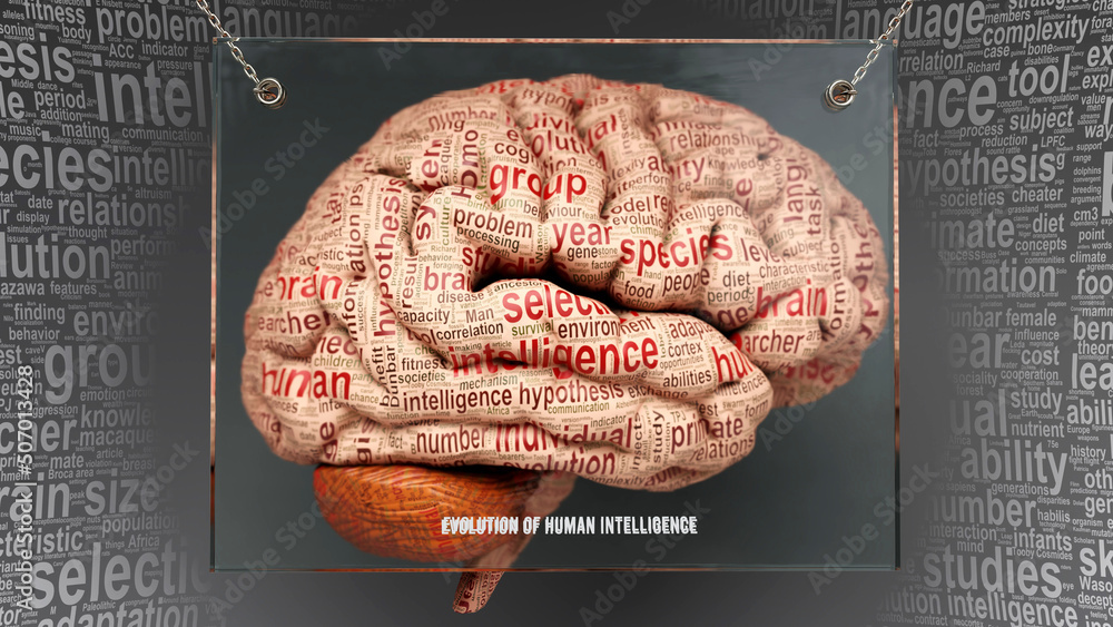 Evolution of human intelligence in human brain - dozens of terms ...